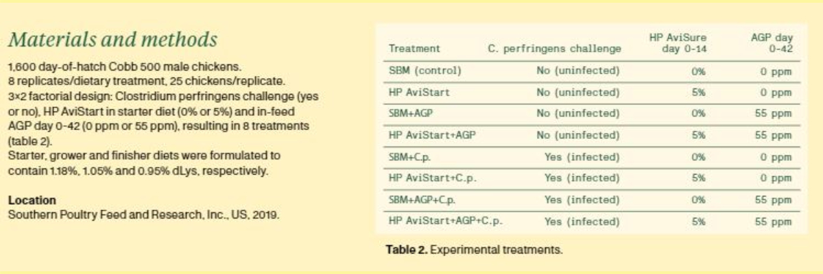 HP AviStart reduces footpad lesions and improves FCR in all-veg diet ...